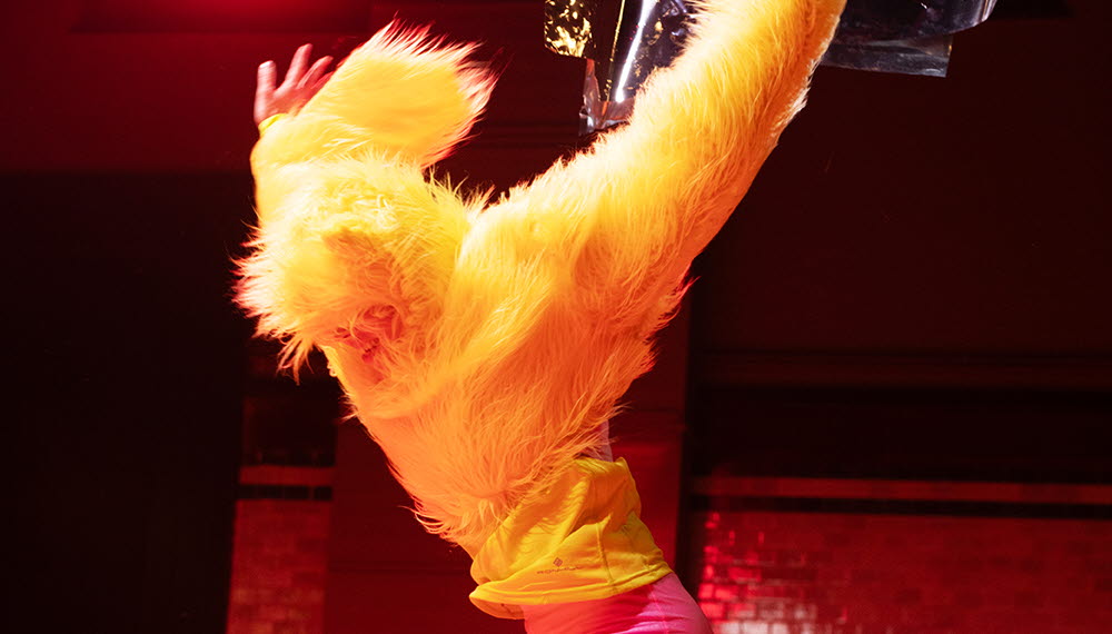 Fem nya aktörer inom scenkonst får bidrag